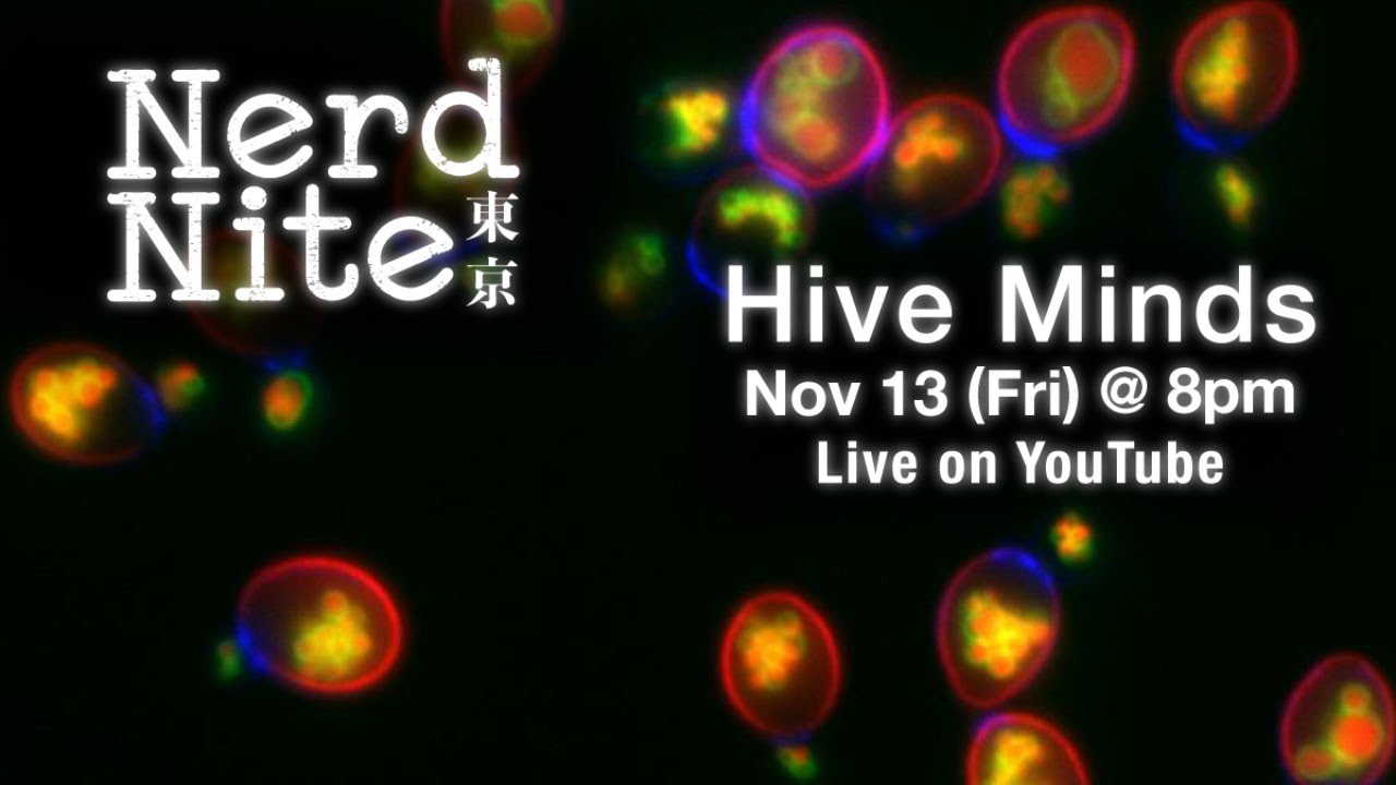 Nerd Nite Tokyo: Hive Minds - YouTube