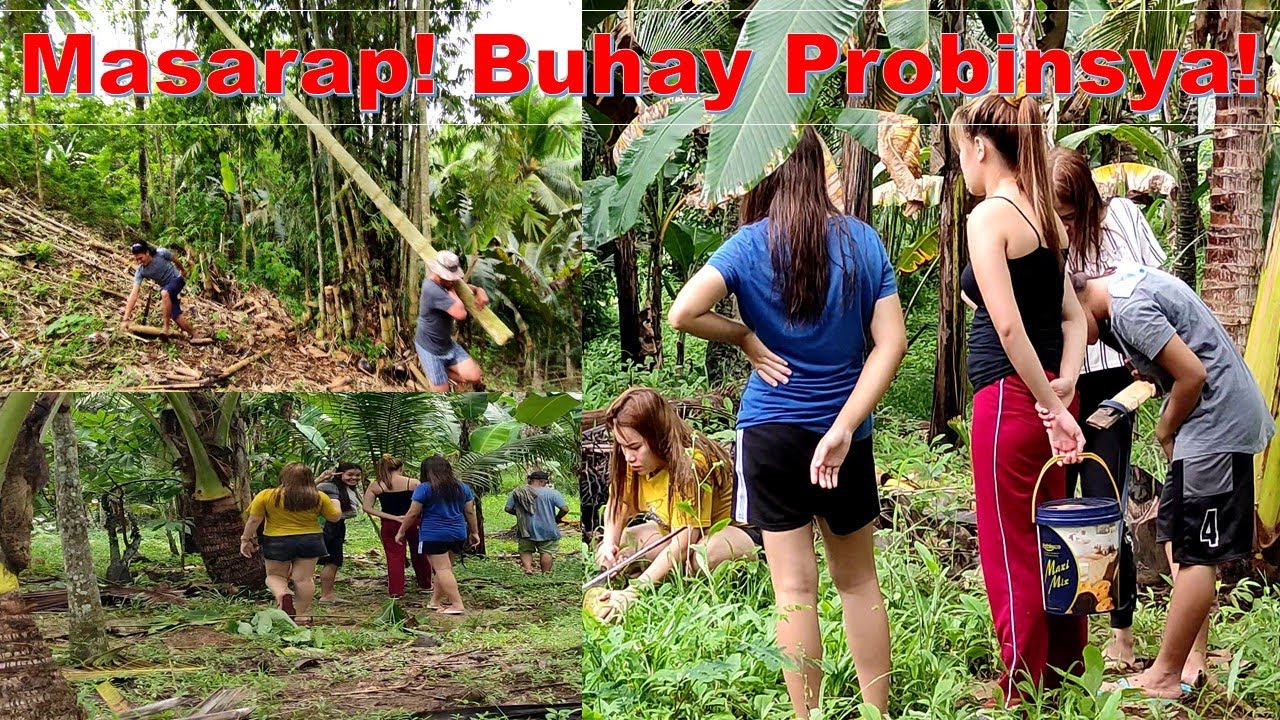 Kawayan Gawin Pang Bakod + Cooking Jackfruit With Coconut Milk + Kuha ...