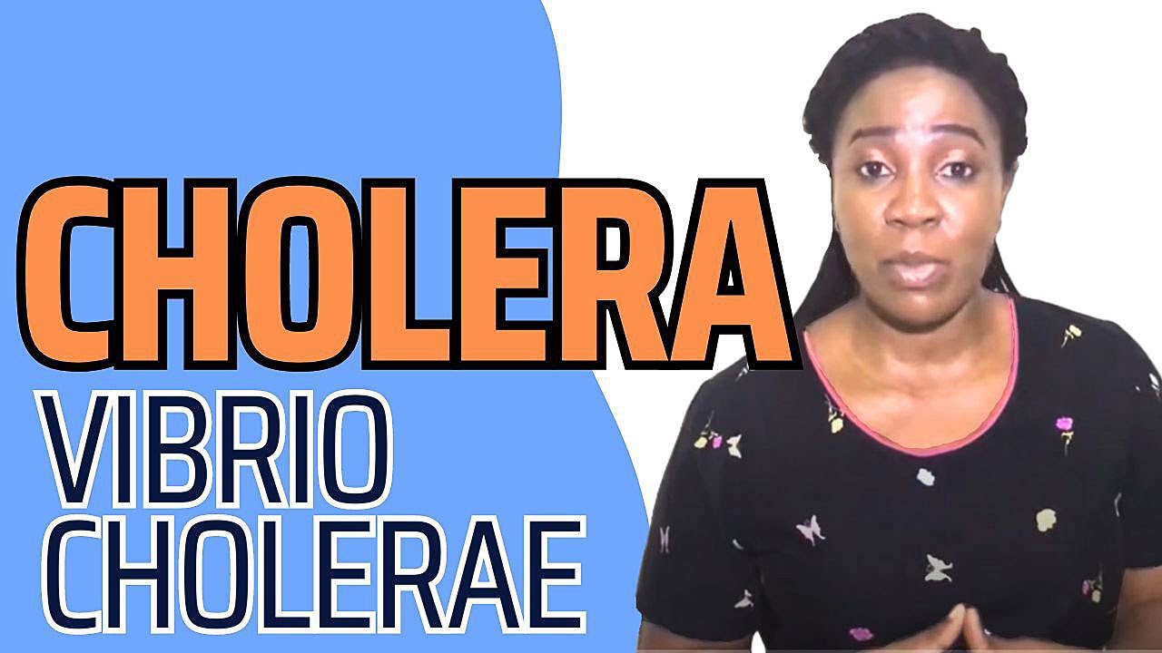 Actions to minimize the risk of contracting Cholera - YouTube