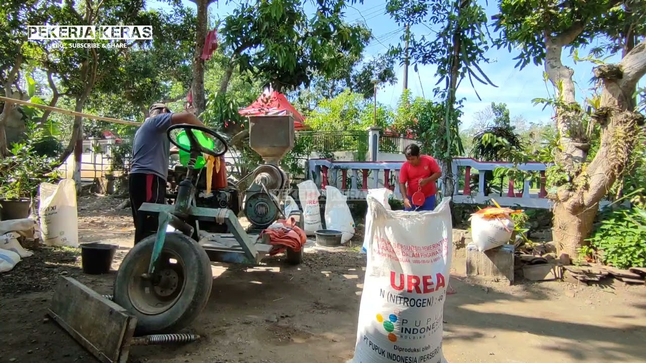 Pagi Bekerja Keras, Selepan Padi Keliling - Penggilingan Gabah Terbaik ...