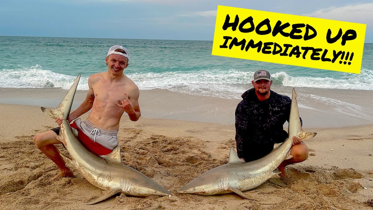 Catching BLACKTIP Sharks During The MIGRATION | Instant Bites! - YouTube