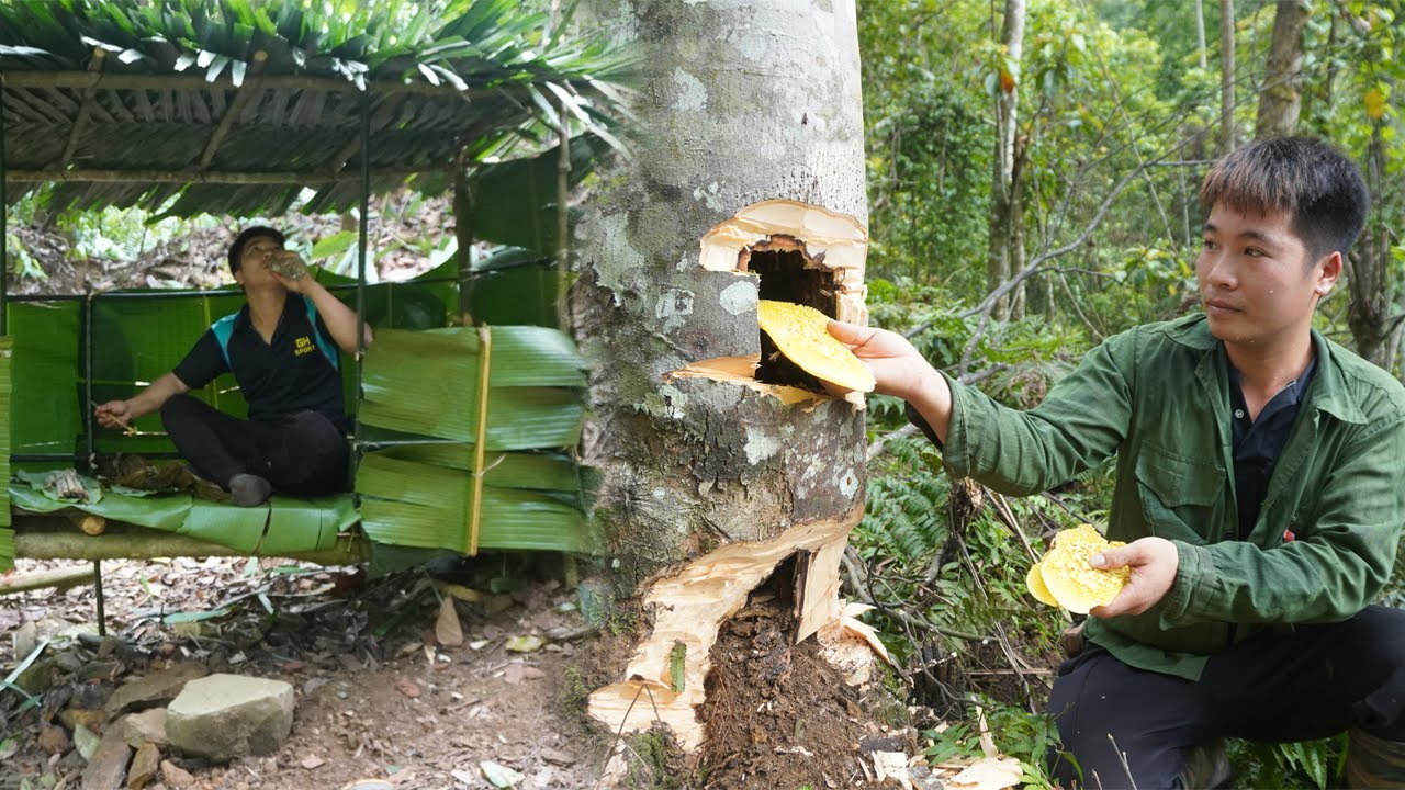 48 hours of survival skills alone in the forest, finding food, making ...