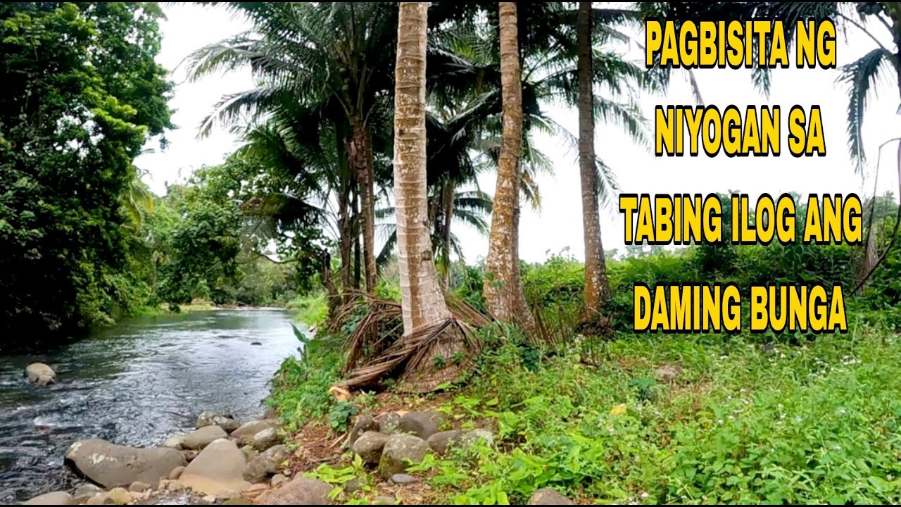 PAGBISITA SA NIYOGAN - YouTube