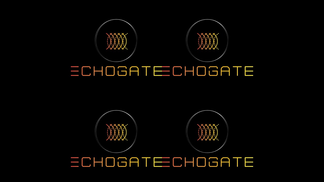 EchoGate - Blow Your Mind Live @The Settle Inn Stirling 19092019 - YouTube