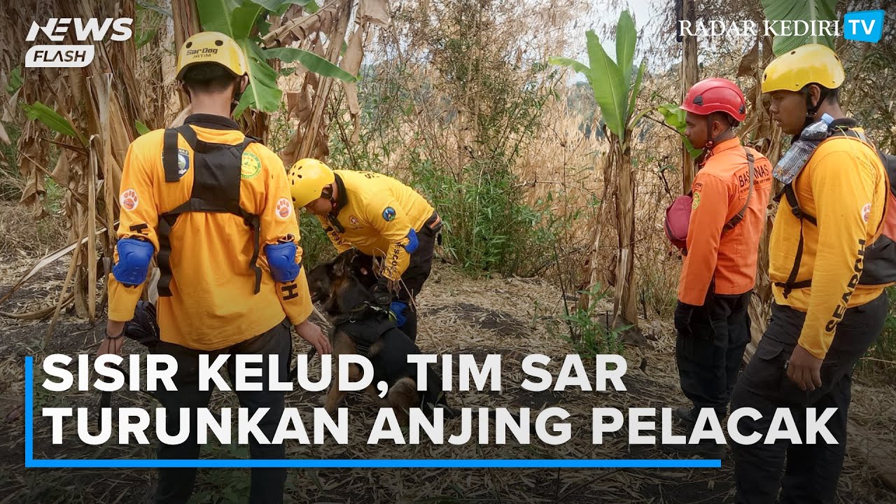 Sisir Gunung Kelud untuk Mencari Orang Hilang, Tim SAR Turunkan Anjing ...