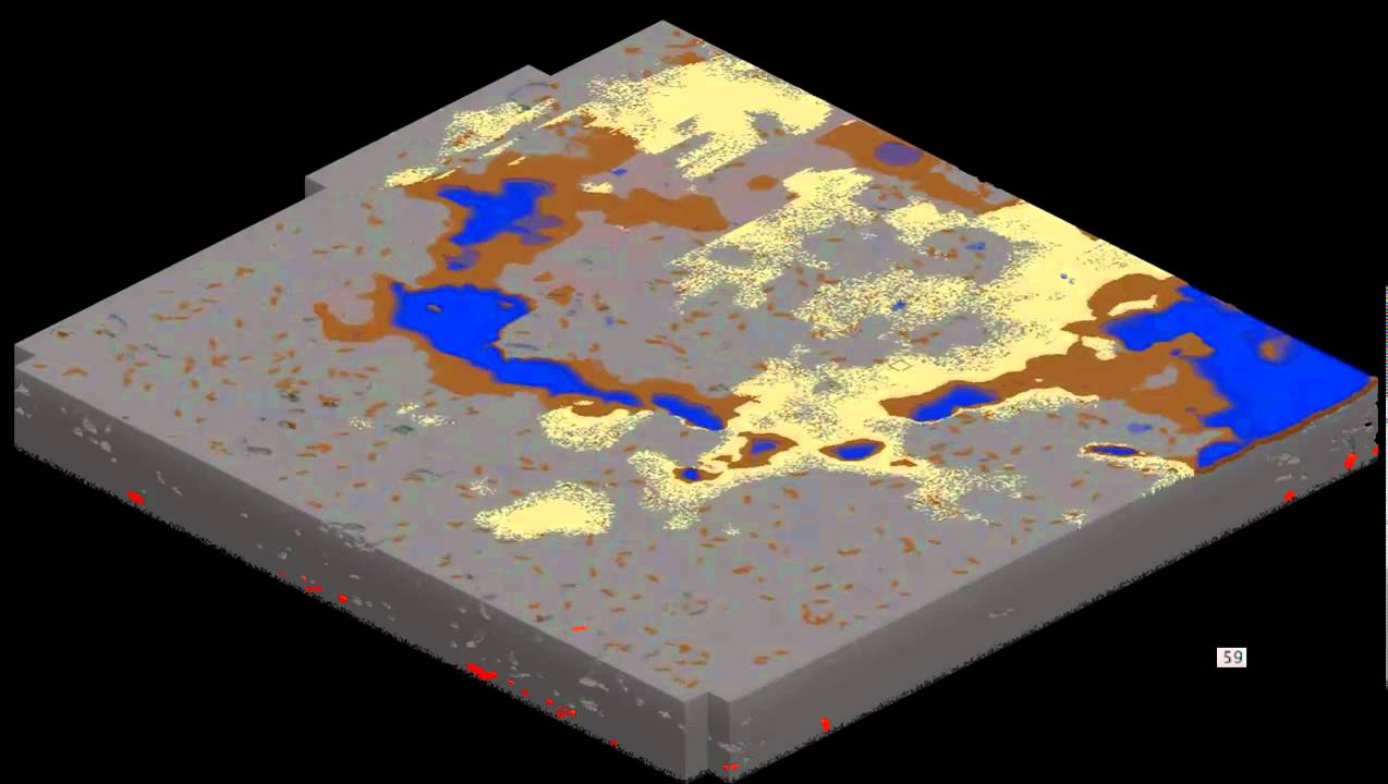 Minecraft Cat Scan - YouTube