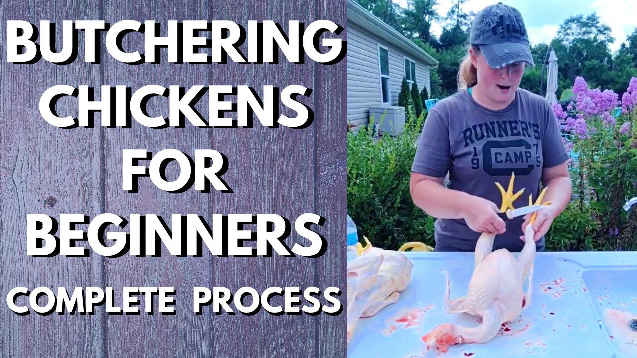 Butchering Chickens For Beginners 🐔 The Complete Process From COOP to ...
