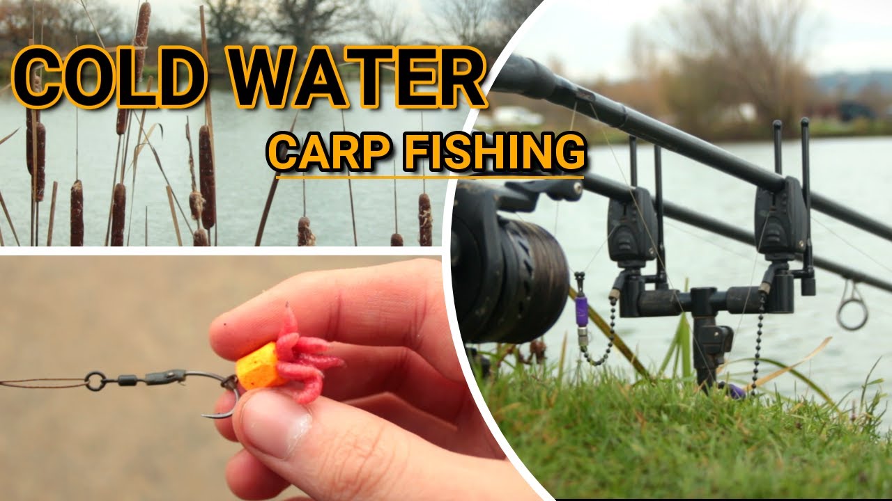 **COLD WATER CARP FISHING**Winter Tactics ꟾ Monk Lakes ꟾ December 2020 ...