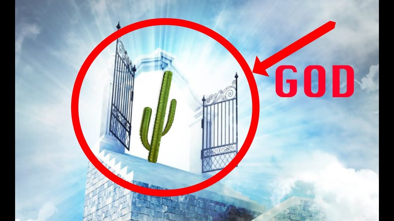 God Is A CACTUS - YouTube