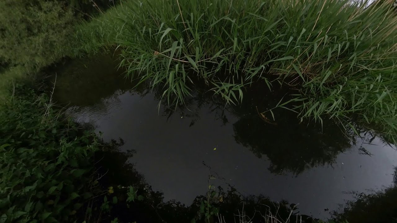 Leasy Bridge - Verulam Angling Club - YouTube