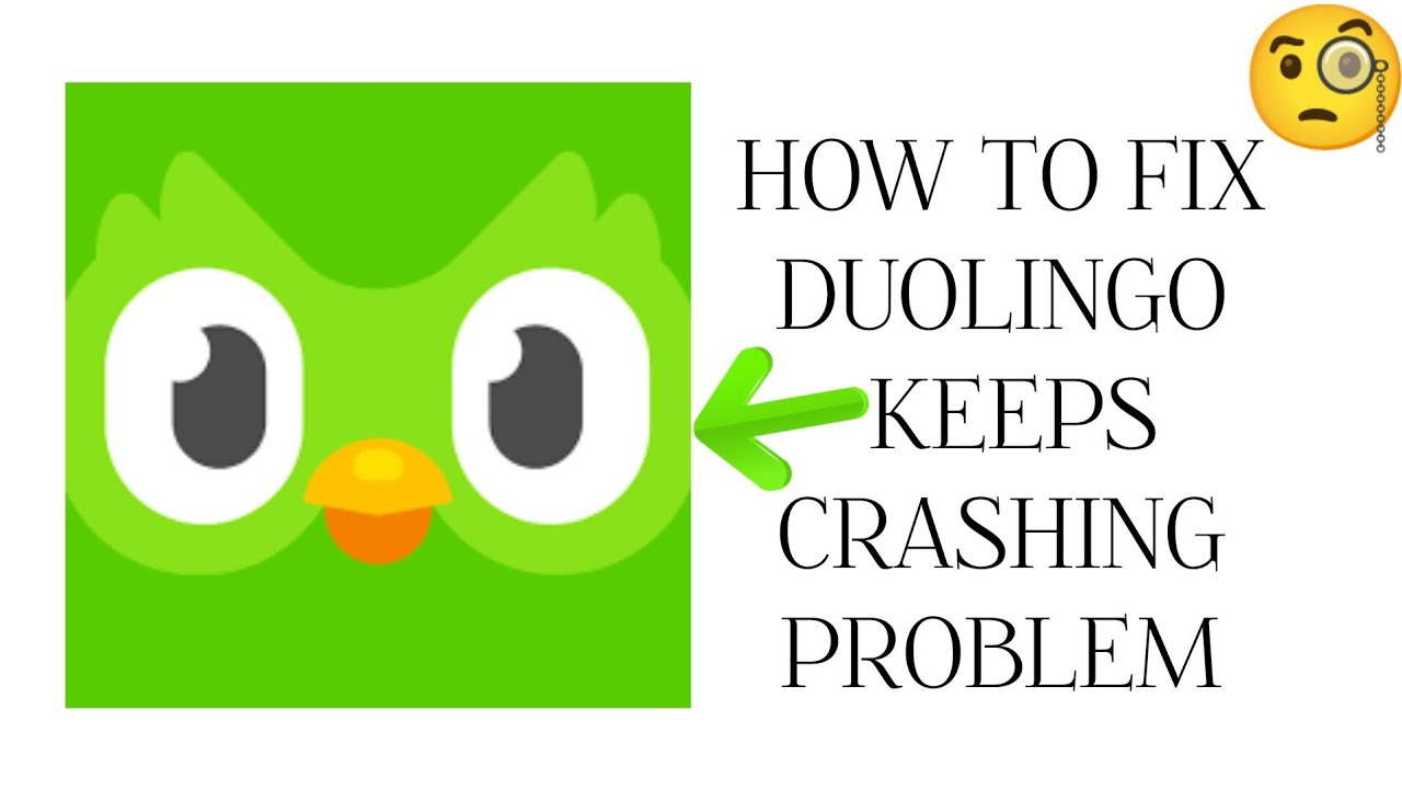 How To Fix "Duolingo Keeps Crashing" Problem || Tech Issues Solutions ...