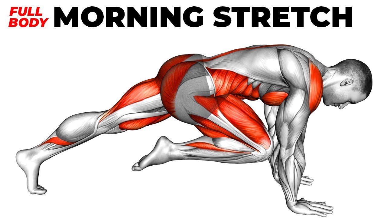 Full Body Morning Stretching Routine for Beginners - YouTube