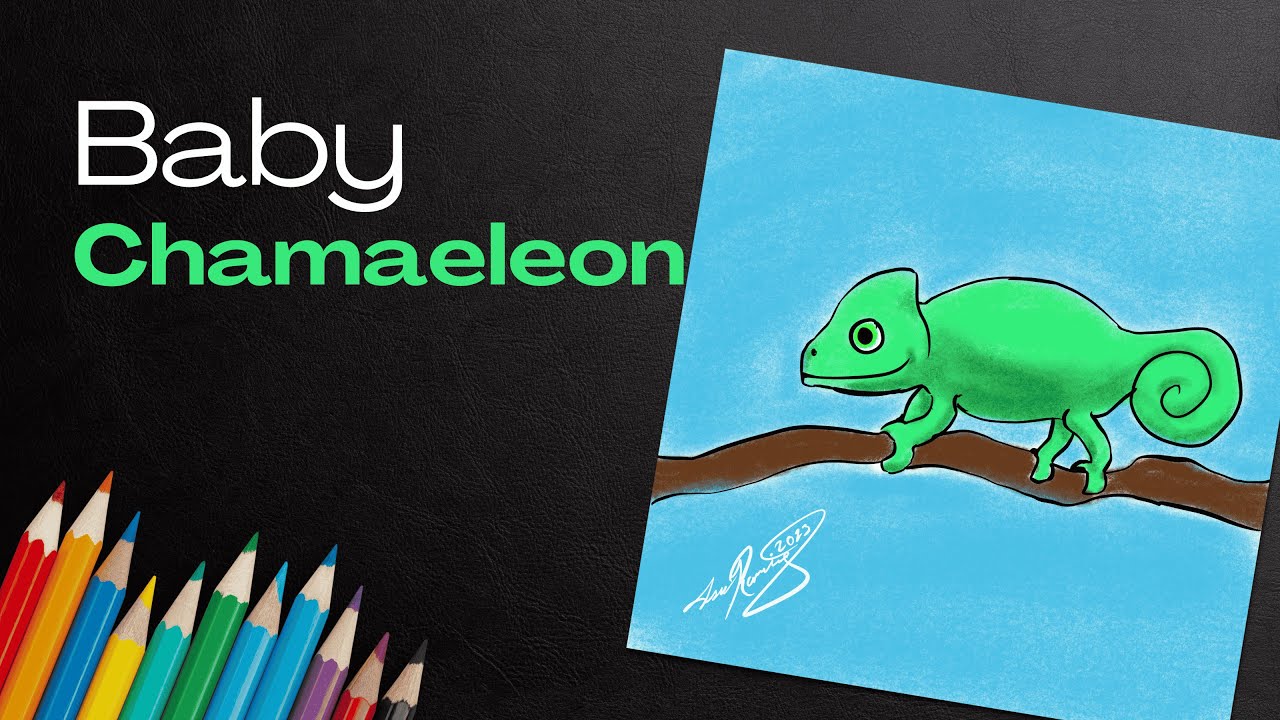 How To Draw A Chamaeleon | Drawing with Jesse - YouTube