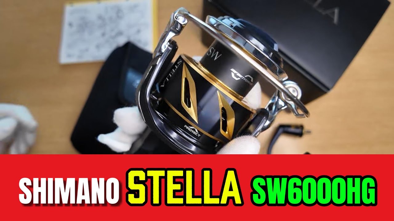 SHIMANO STELLA SW 6000HG - YouTube