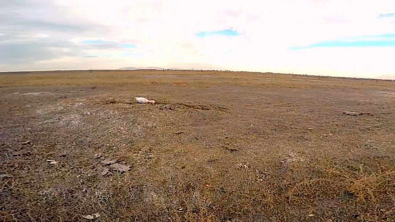 Shooting near Layton, Utah - YouTube