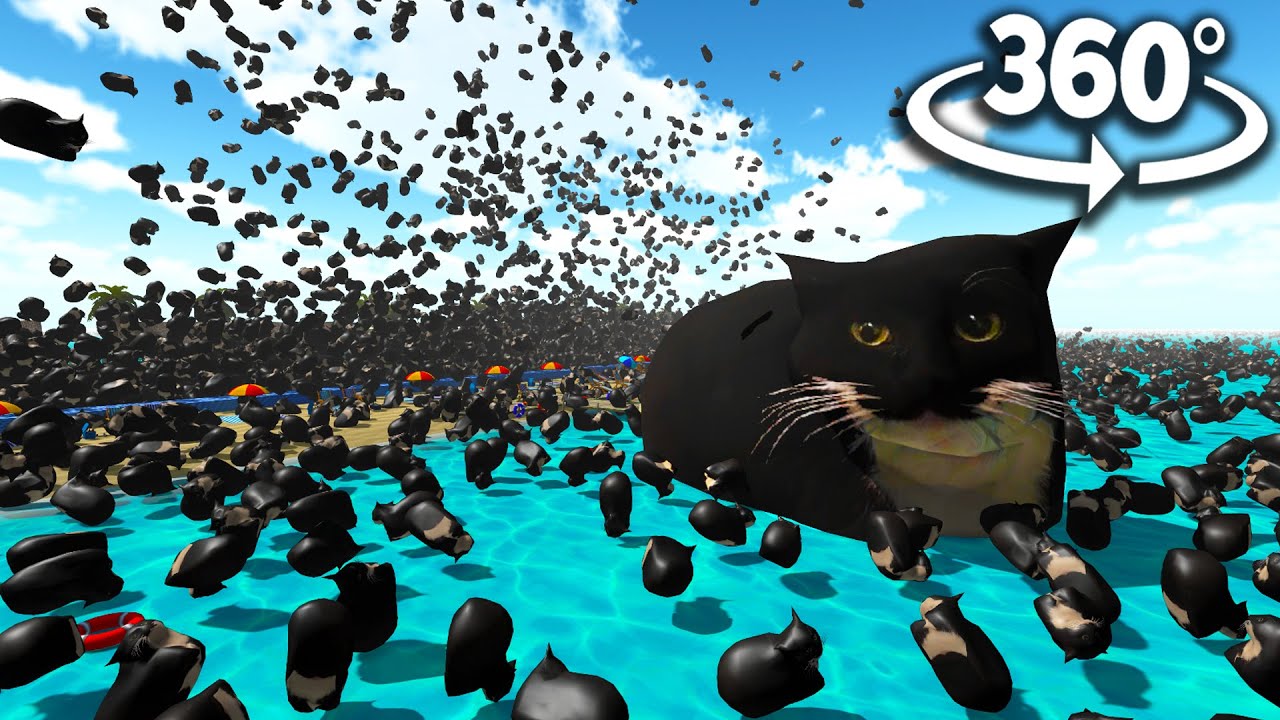 Maxwell The Cat 50,000 TIMES! 360° | VR/360° Experience - YouTube
