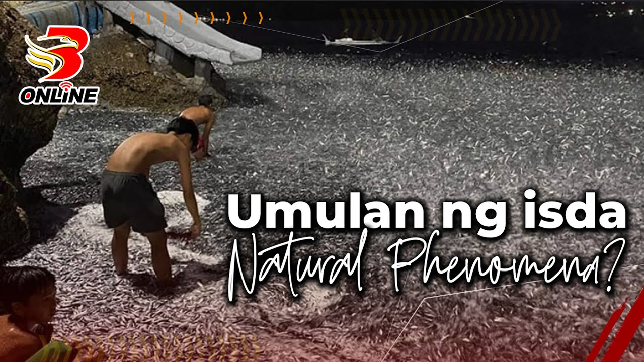 Umulan ng isda, natural phenomena? - YouTube