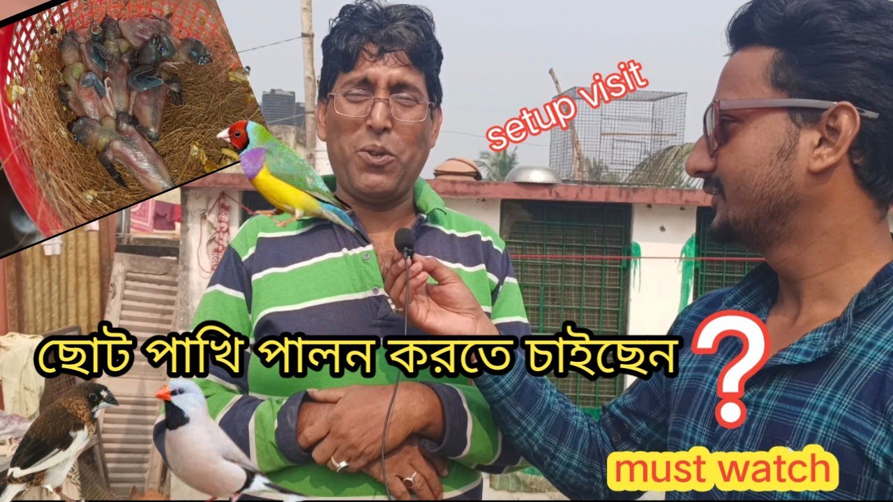 I visited Gopal kundu Dada's exotic finches bird breeding setup/গোল্ডেন ...