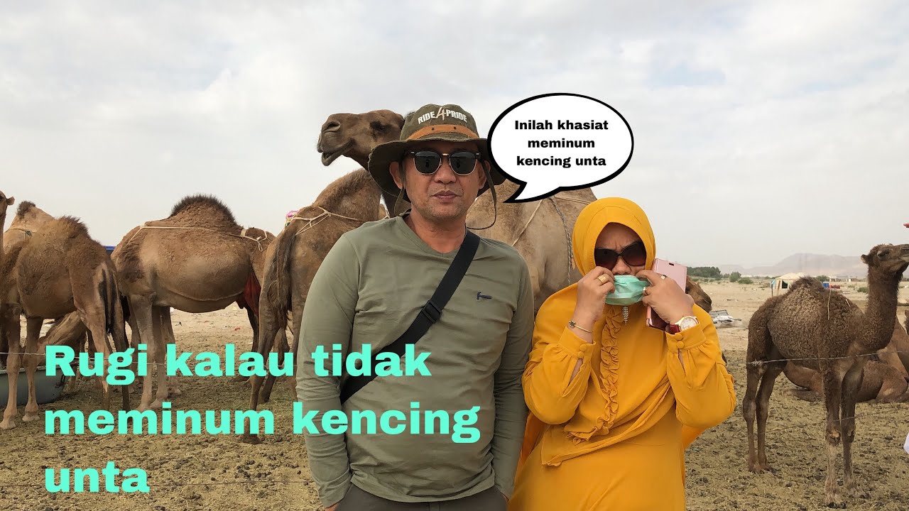 Akibat meminum kencing unta - Ahmad Penyejuk Hati - YouTube