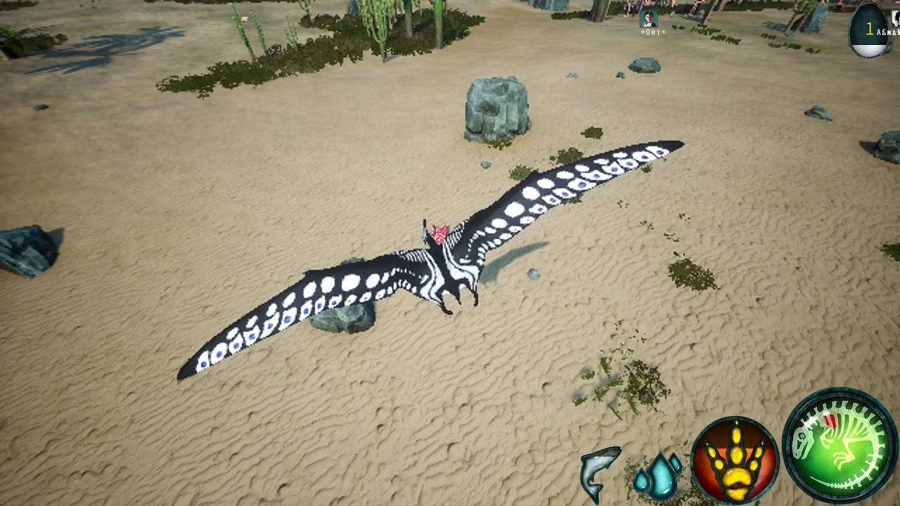 ptera keeps attacking - YouTube