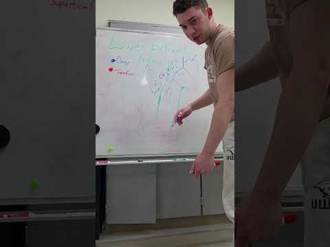 UHHHHH LEV Anatomy lmao - YouTube