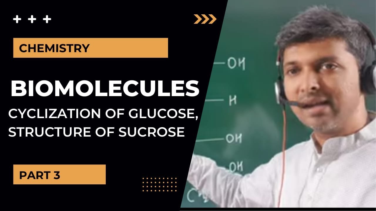 Biomolecules: Part 3 || Cyclization of Glucose || Structure of Sucrose ...