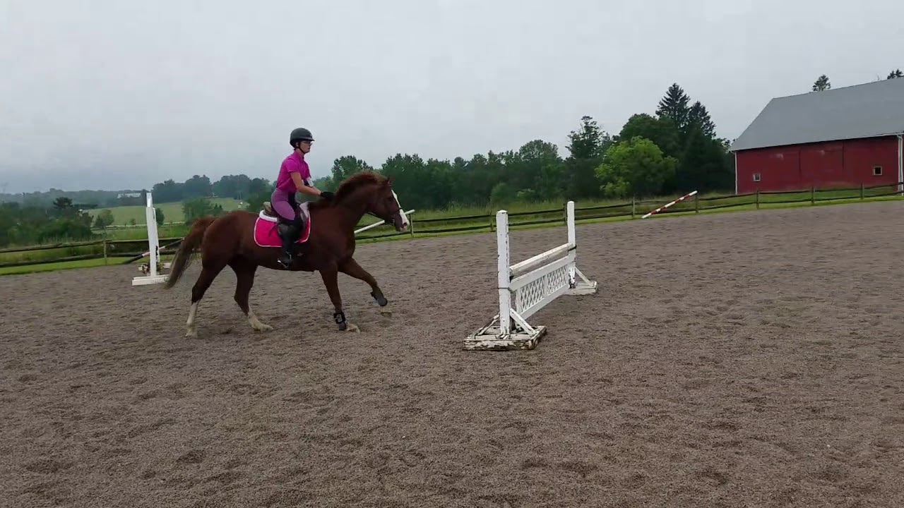 Second Day of Show Jumping Course Work At Pony Club Camp - YouTube