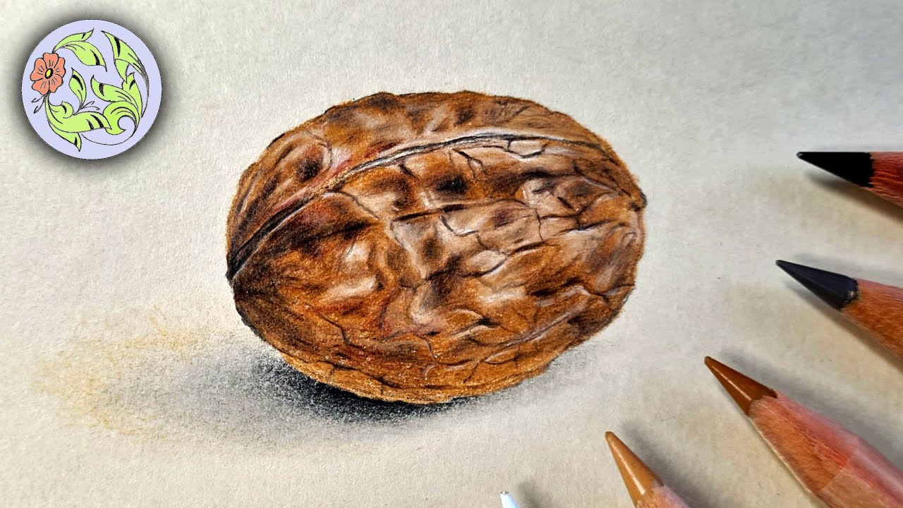 Simple realistic Drawing (Walnut) 🌰 Only with Colored Pencils - YouTube