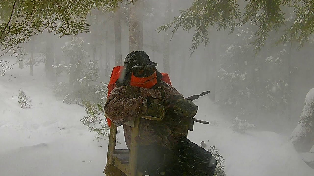 Best deer hunting trick. one of my best - YouTube