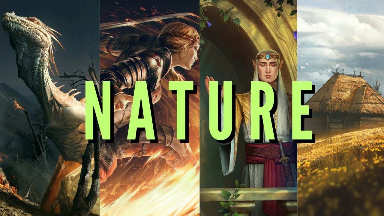 GWENT | DOMINATE THE META WITH NATURE UPDATE 11.6 - YouTube
