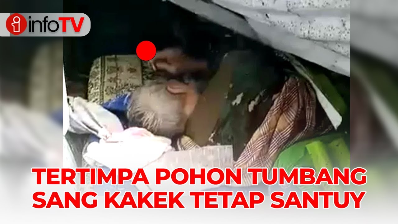 Kakek di Makassar Tertimpa Pohon Tumbang, Tetap 'Santuy' sambil Merokok ...