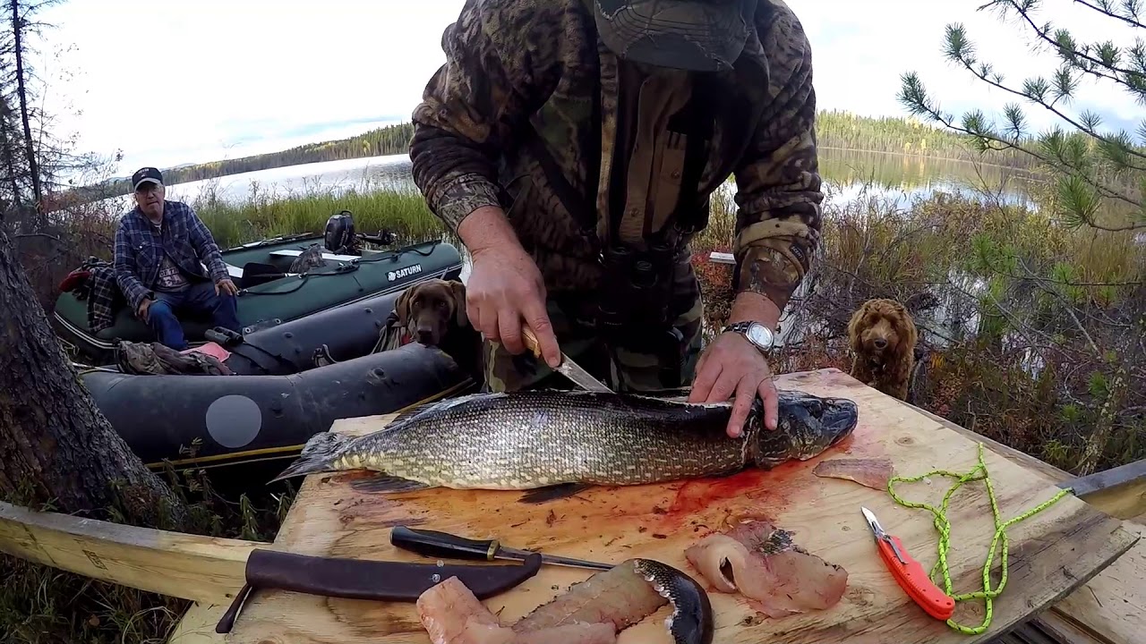 Method Two of Filleting Northern Pike - YouTube