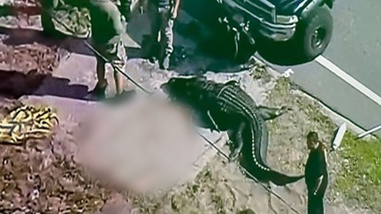 Daughter's 'unbearable pain' after missing mum found dead in jaws of 14 ...