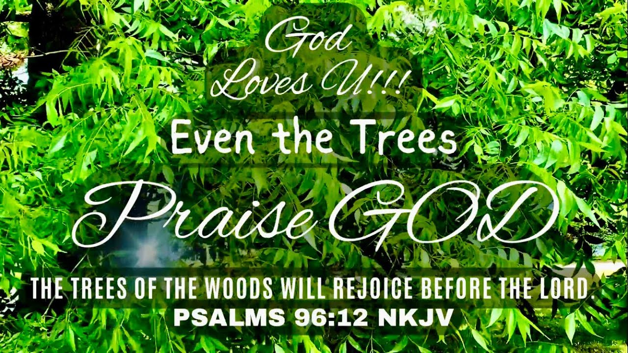 Even the Trees Praise GOD - Psalms‬ ‭96‬:‭12‬ ‭NKJV‬‬ - YouTube