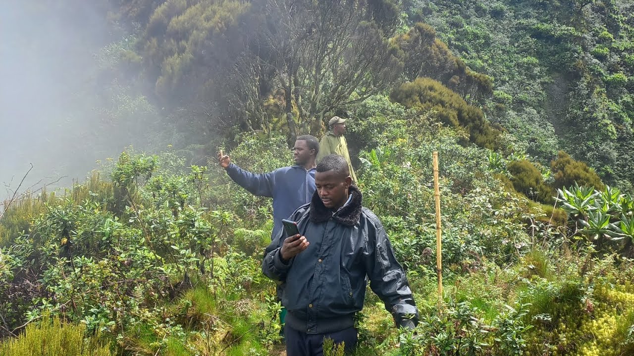 Hiking Sabyinyo in Rwanda with @tourismlovers250 - YouTube
