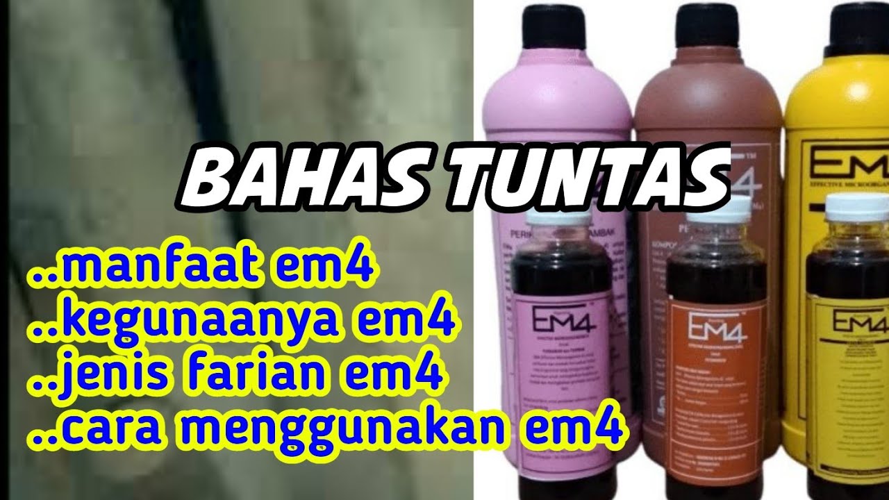 Manfaat em4 untuk peternak ayam.ikan dan cara menggunakannya seperti ...