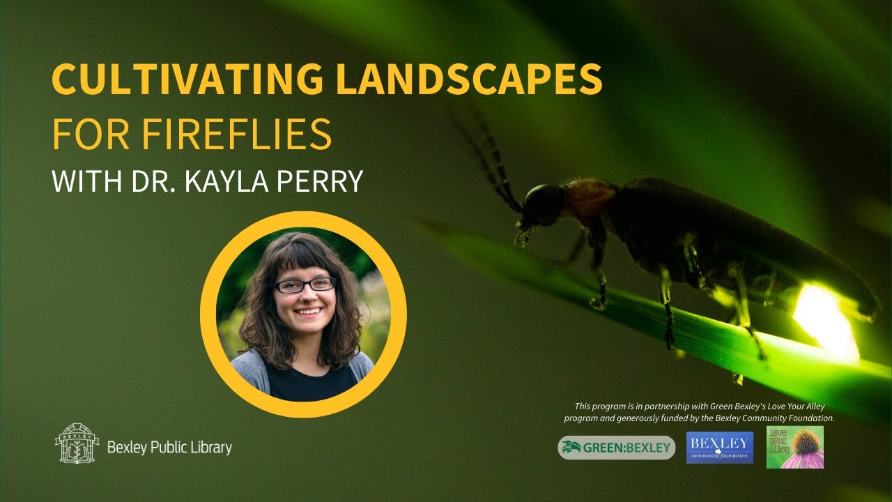 Cultivating Landscapes for Fireflies with Dr. Kayla Perry - YouTube