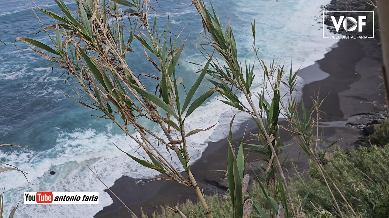 Vamos à Praia da Viola na Lomba da Maia 2023 Ilha São Miguel - YouTube