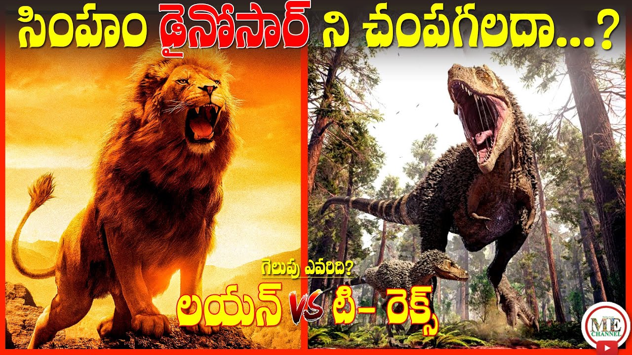 Lion vs T-Rex - Who will win a fight in Telugu | Can a lion kill a ...