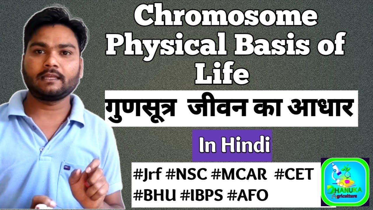 Why Chromosome is a physical Basis of Life | Transcription processes ...