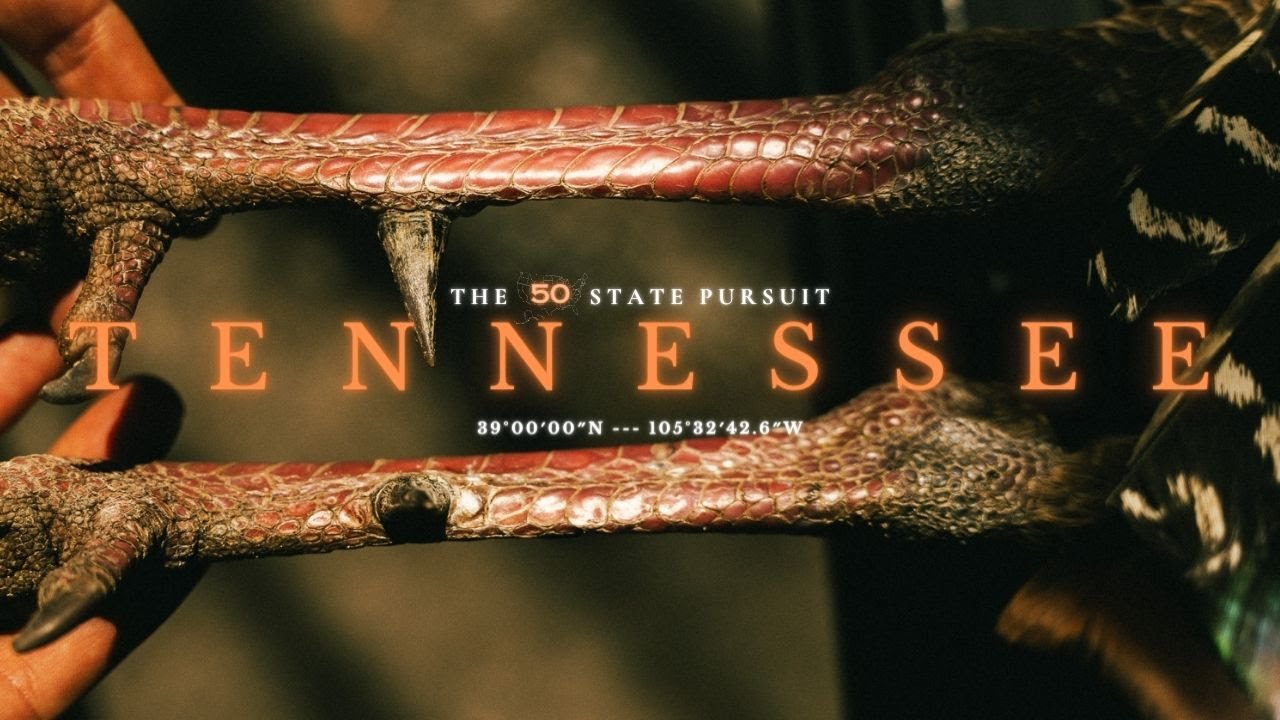 Turkey Hunting & Fly fishing for Smallmouth Bass : Tennessee : The 50 ...