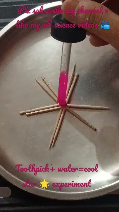 toothpick+water=cool Experiment make 🌟//science experiment idea for ...