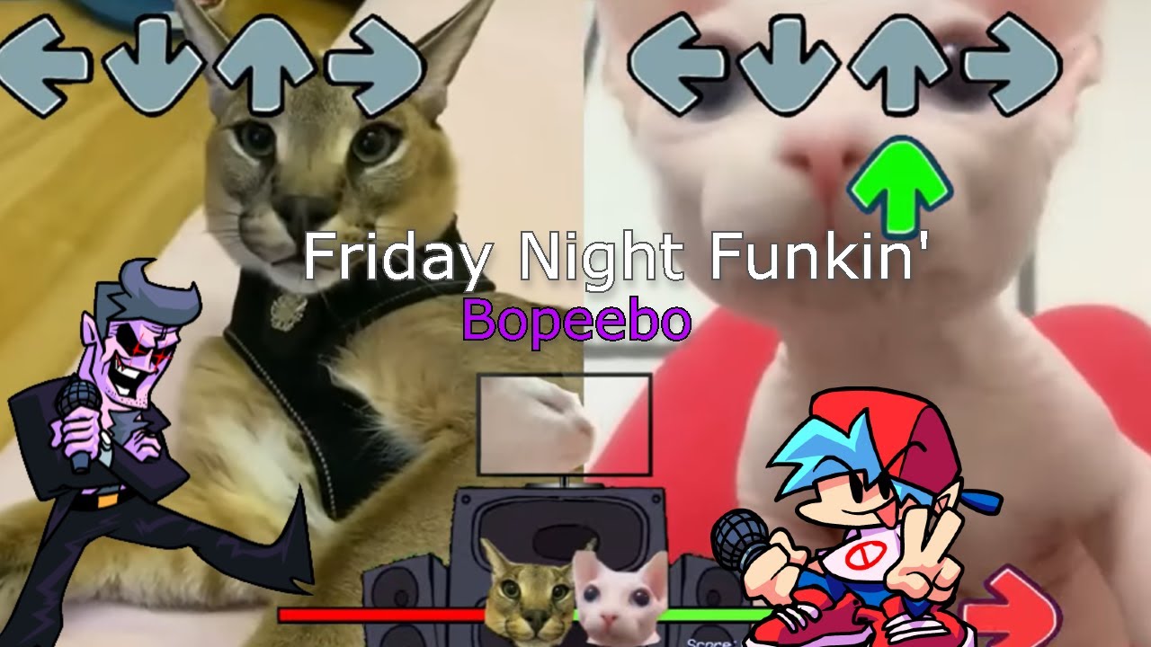 Floppa vs Bingus?! But its Friday Night Funkin' (Full Version) (FNF ...
