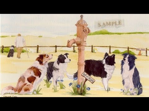 The Dog Show-Off: Nostalgic Fun You May Have Missed! 🐶✨