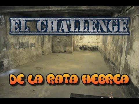 El challenge de la rata hebrea - YouTube