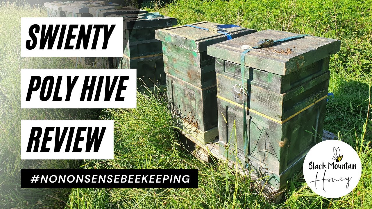 Swienty Poly Hive Review - YouTube