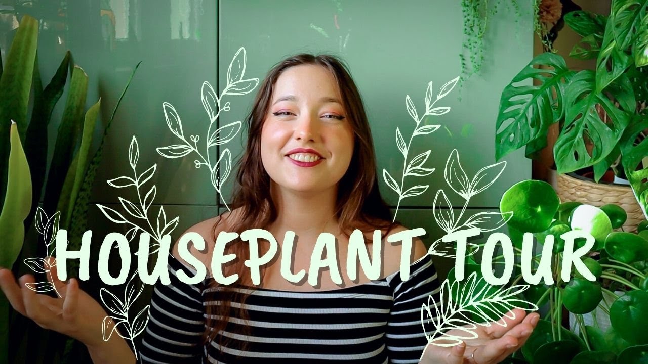 Plant Obsession || Houseplant Tour of a Crazy Plant Lady - YouTube