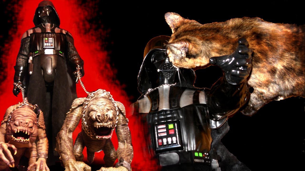 Darth Vader Vs Cats - YouTube
