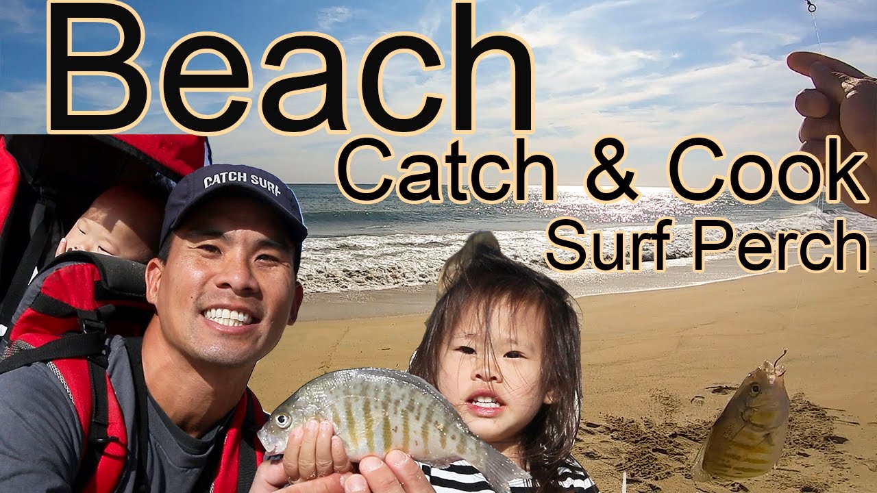 Surf Perch Catch Clean & Cook - YouTube