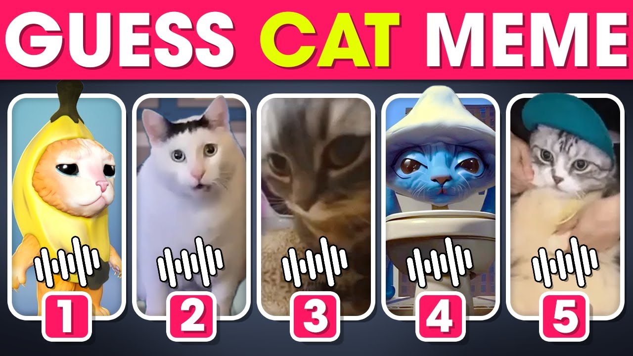 Guess Cats Meme | Chipi Chapa Cat, Banana Cat, Smurf Cat, Huh Cat ...
